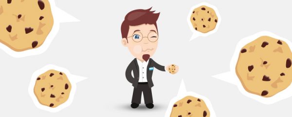 À quoi servent les cookies sur internet ? Serious Team 360°